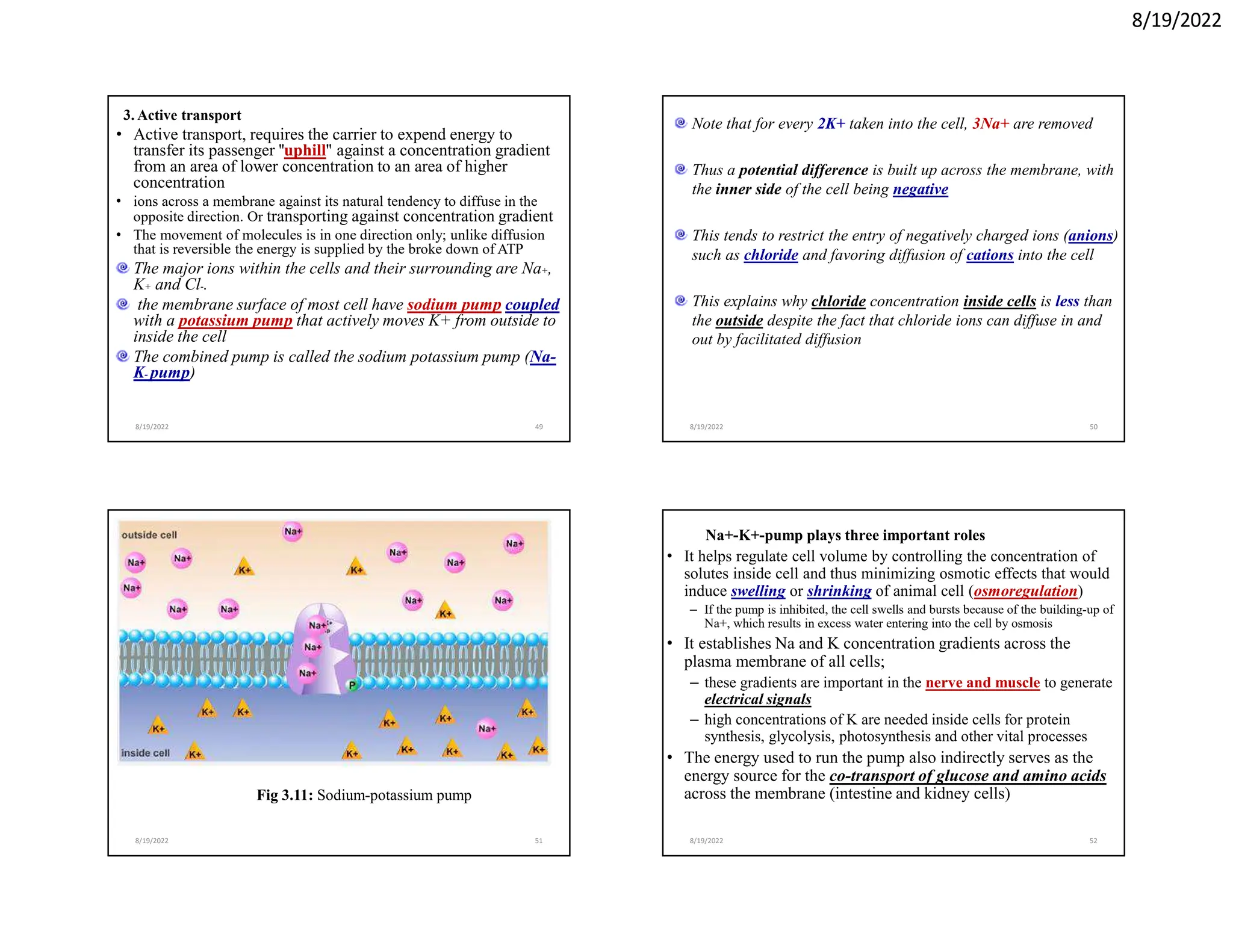 General biology of human module 1011 power point | PDF