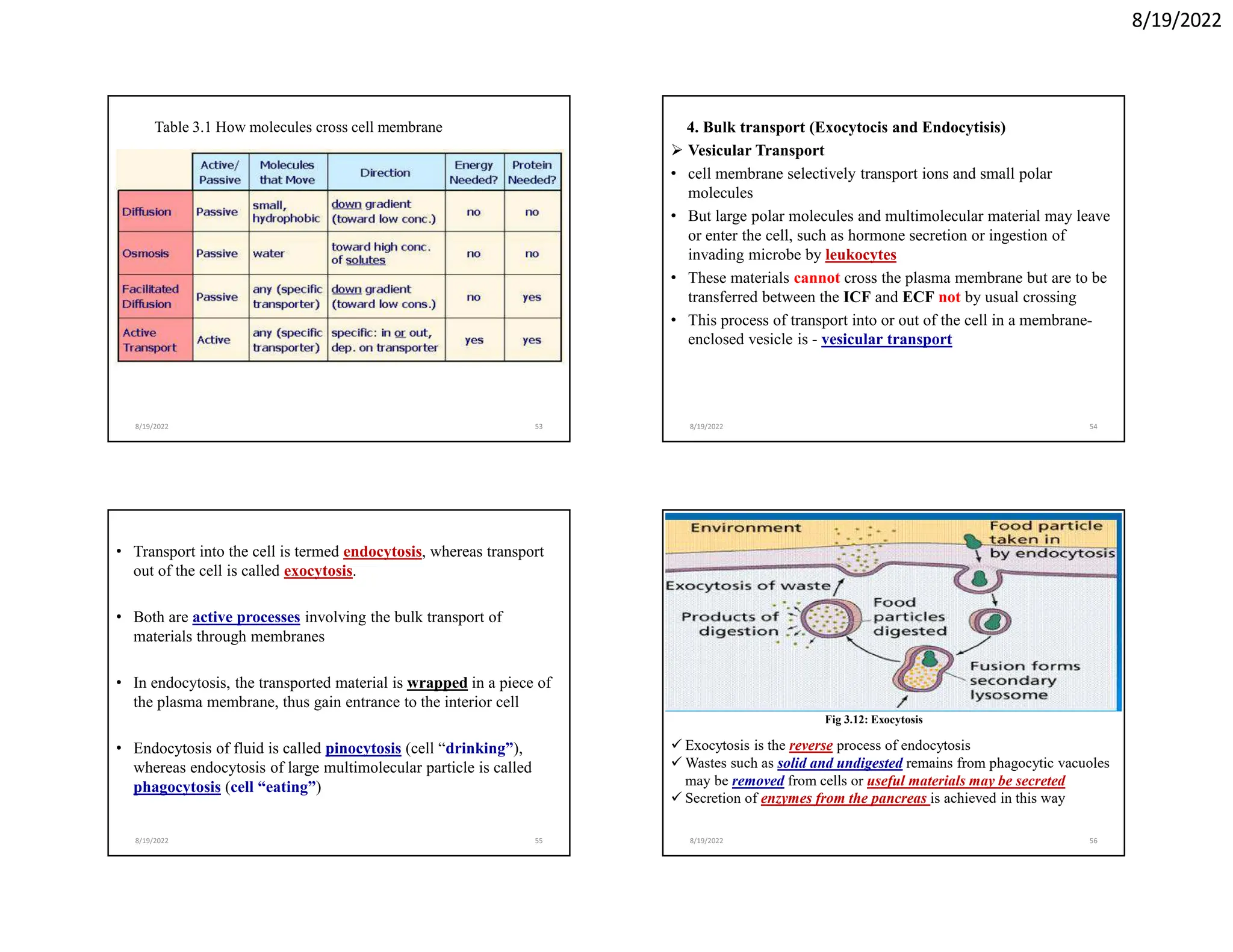 General biology of human module 1011 power point | PDF