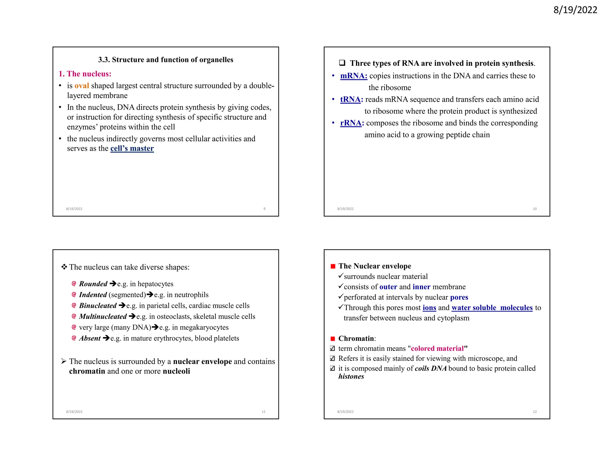 General biology of human module 1011 power point | PDF