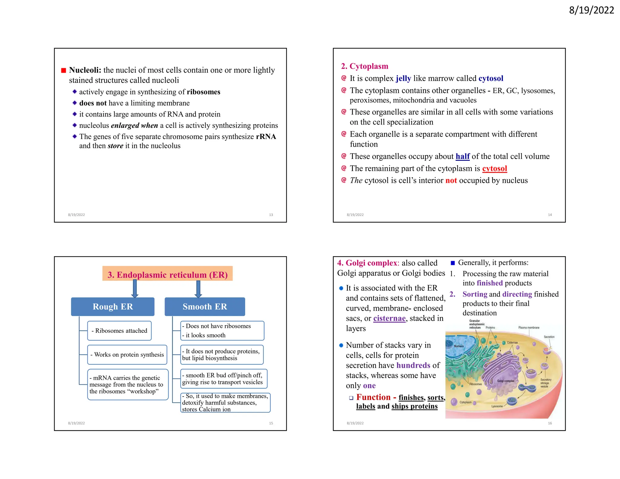 General biology of human module 1011 power point | PDF