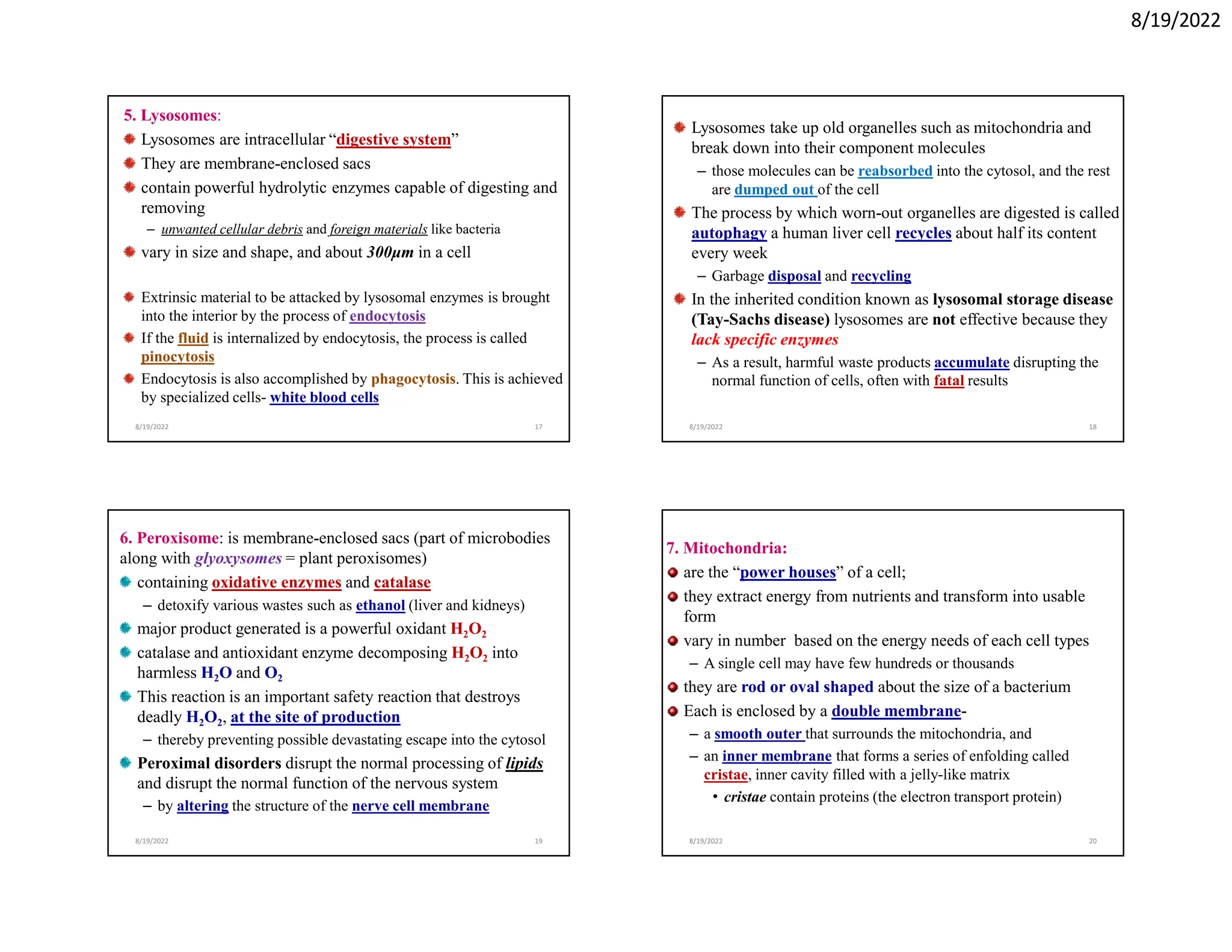 General biology of human module 1011 power point | PDF