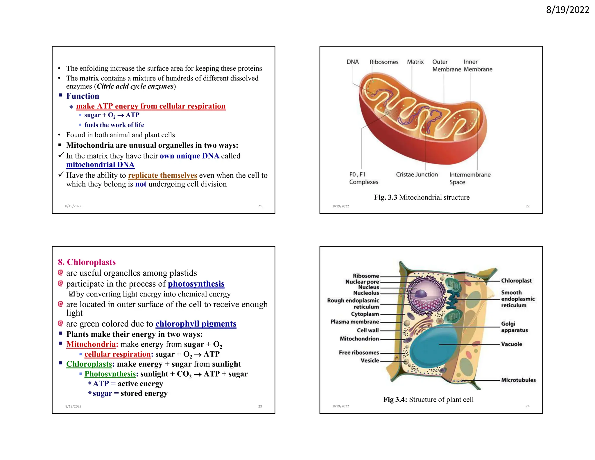 General biology of human module 1011 power point | PPT