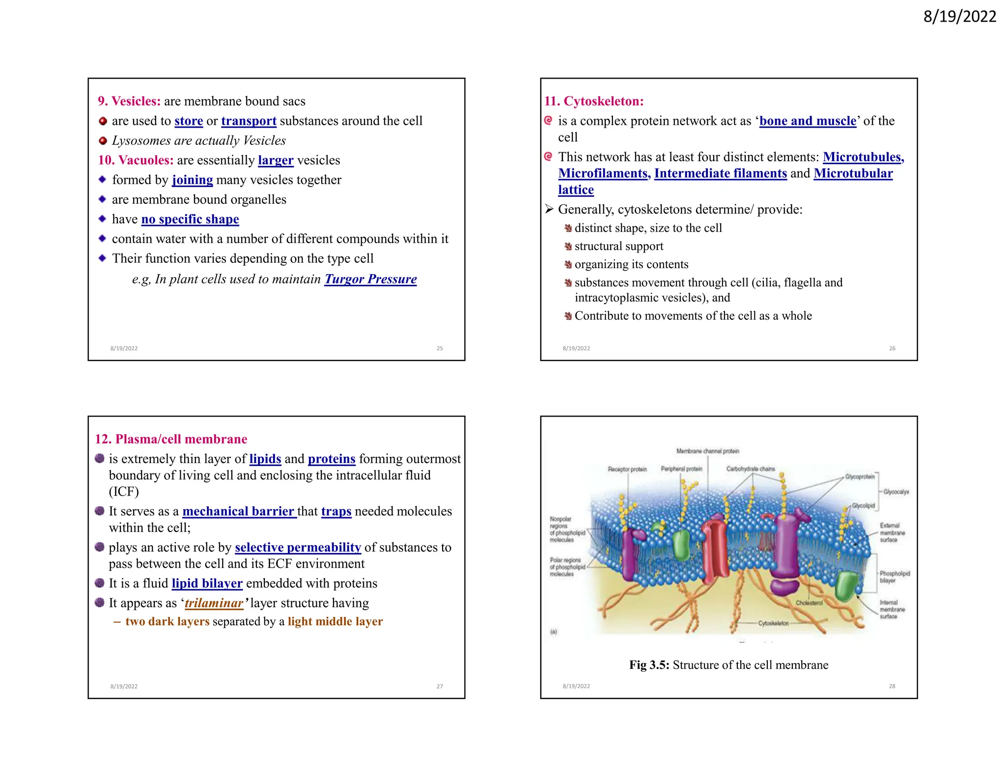 General biology of human module 1011 power point | PDF