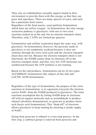 BIOL 102 Lab 7Yeast FermentationPRE-LAB ASSIGNMENT Stude.docx