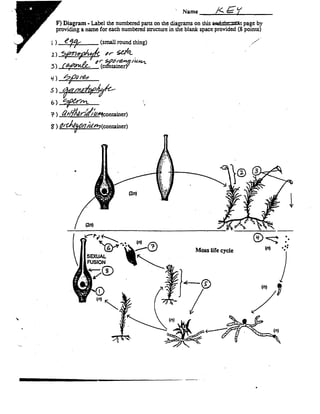 Biol 102 midterm (1993) | PDF