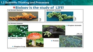 Biology 105, Chapter 1 Introduction to Biology | PPTX