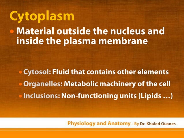 cells and tissues | PDF