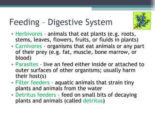 Biol 11 Lesson 1 Feb 1 - Ch. 26 Checklist of Body Systems - 7 systems | PPT