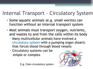 Biol 11 Lesson 1 Feb 1 - Ch. 26 Checklist of Body Systems - 7 systems | PPT