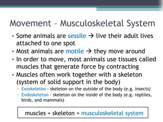 Biol 11 Lesson 1 Feb 1 - Ch. 26 Checklist of Body Systems - 7 systems | PPT
