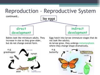 Biol 11 Lesson 1 Feb 1 - Ch. 26 Checklist of Body Systems - 7 systems | PPT