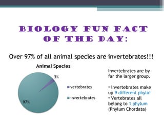 Biol 11 Lesson 1 Feb 1 - Ch 26 Introduction to the Animal Kingdom | PPT