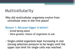 Biol 11 Lesson 1 Feb 1 - Ch 26 Introduction to the Animal Kingdom | PPT