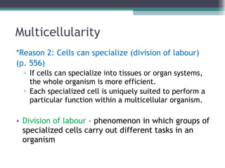 Biol 11 Lesson 1 Feb 1 - Ch 26 Introduction to the Animal Kingdom | PPT