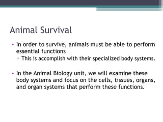 Biol 11 Lesson 1 Feb 1 - Ch 26 Introduction to the Animal Kingdom | PPT