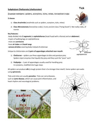 Biol 11 Lesson 2 April 7 - Arthropoda Station Info Sheets | PDF