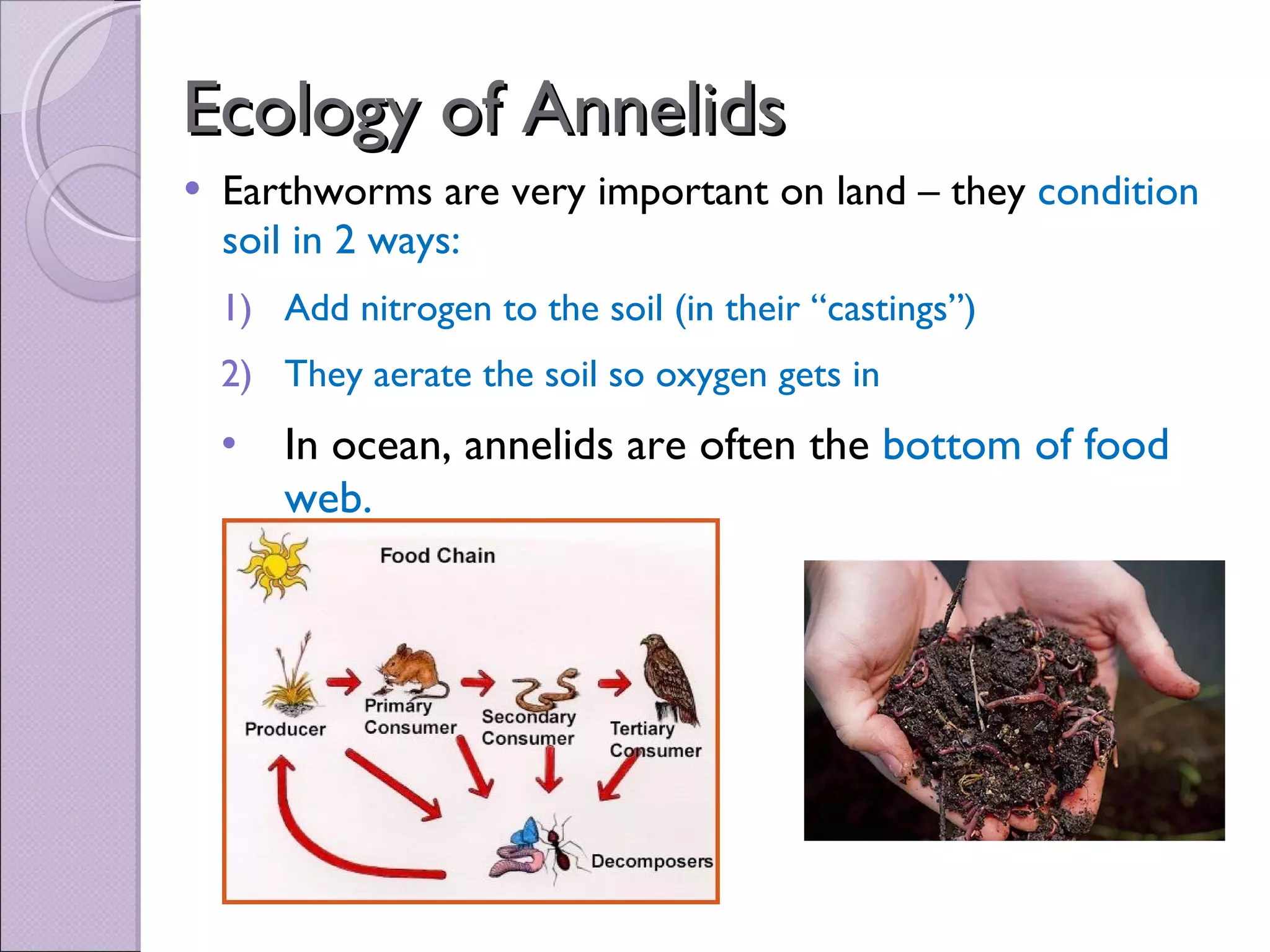 Biol 11 Lesson 3 Mar 8 - Ch. 27 Annelida | PPT