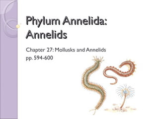 Biol 11 Lesson 3 Mar 8 - Ch. 27 Annelida | PPT