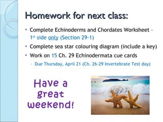 Biol 11 Lesson 5 April 15 - Ch. 29 Echinodermata | PPT