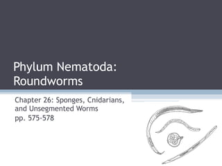 Biol 11 Lesson 5 Feb 15 - Ch. 26 Nematoda | PPT