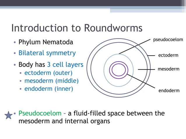 Biol 11 Lesson 5 Feb 15 - Ch. 26 Nematoda | PPT