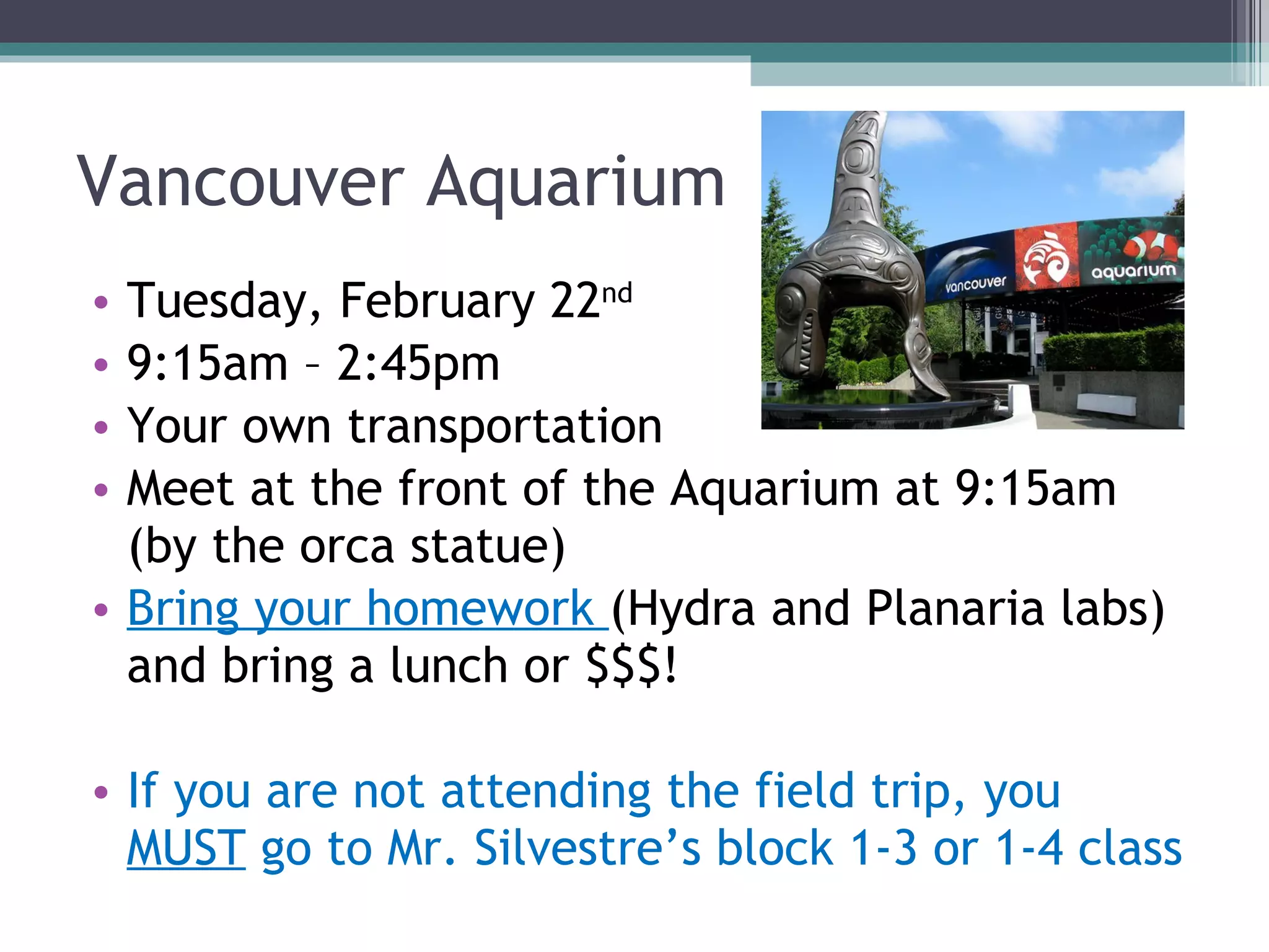 Biol 11 Lesson 6 Feb 17 - Lab - Hydra and Planaria | PPT