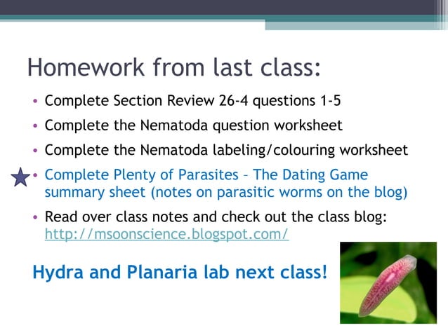 Biol 11 Lesson 6 Feb 17 - Lab - Hydra and Planaria | PPT