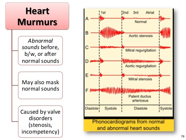Biol121 chp20-pp-fall10-101123164449-phpapp02