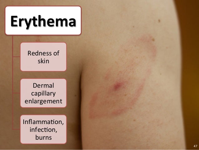 Biol121 chp5-pp-fall10-101011140901-phpapp01