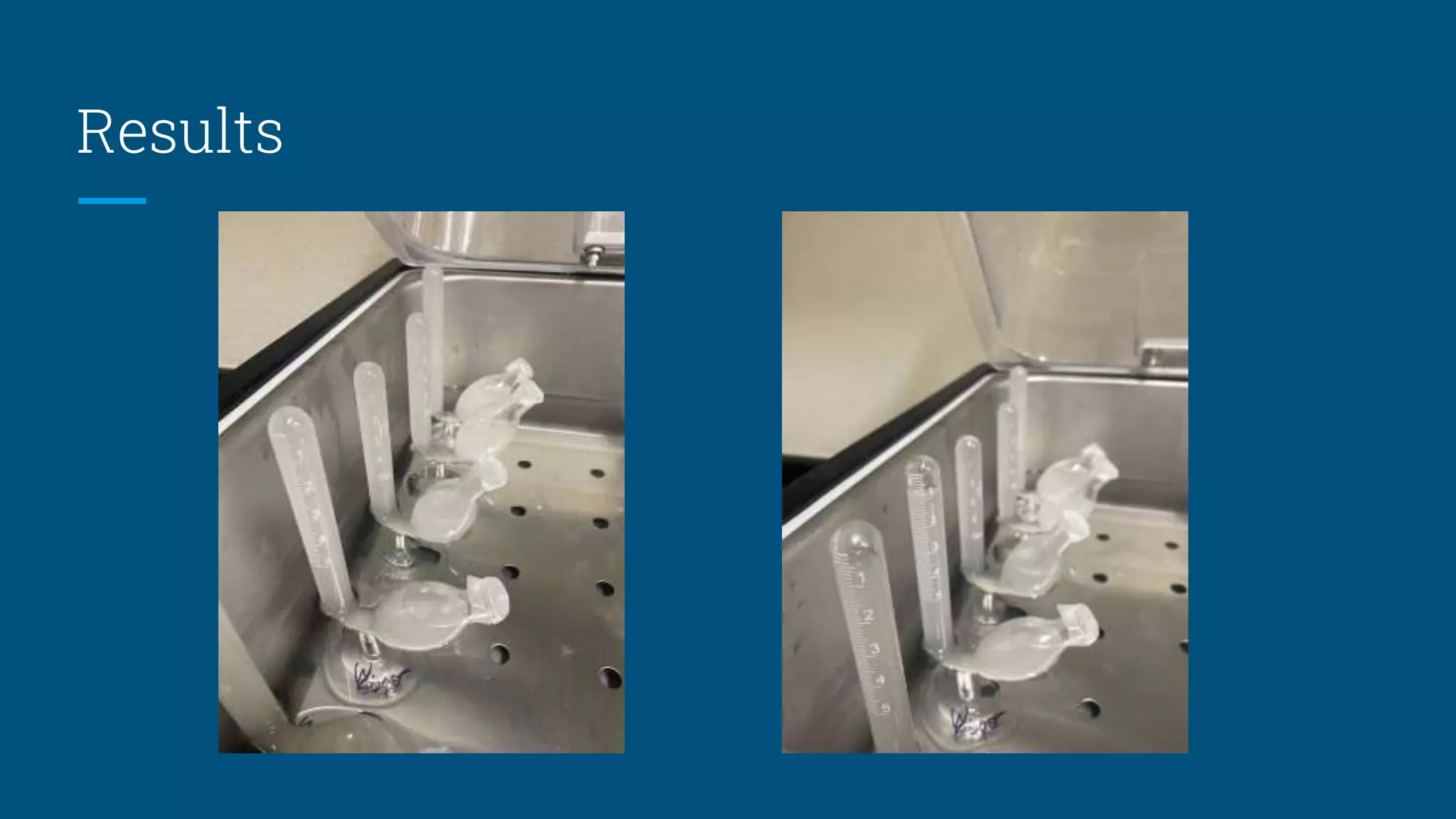 BIOL 1 Fermentation of Yeast with Real and Artificial Sugars.pptx