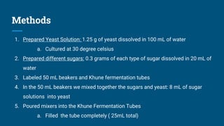 BIOL 1 Fermentation of Yeast with Real and Artificial Sugars.pptx