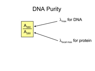 Biol2 Lecture 1 V1 | PPT