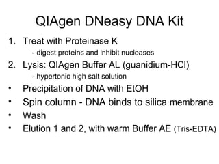 Biol2 Lecture 2 Dna Isolation And Agarose Gel | PPT