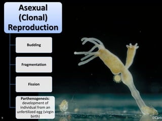 Biol201 chp4-ppt-spr11-110206112824-phpapp02 | PPT