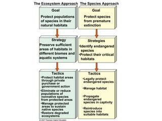 Ecosystems: How do they work? | PPT