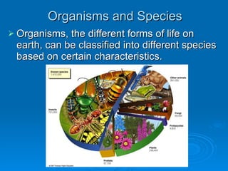 Ecosystems: How do they work? | PPT