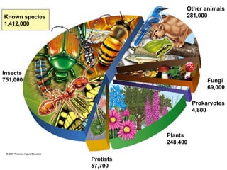 Ecosystems: How do they work? | PPT