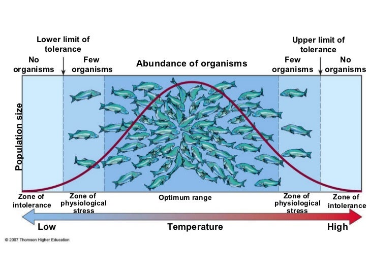 Ecosystems: How do they work?