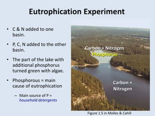 Biol208 lecture2 introduction_toecology | PPT