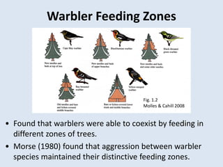 Biol208_Lecture2_IntroductionToEcology (1).pdf