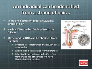 BIOL 2115 - Basic Laboratory Techniques: PCR | PPTX