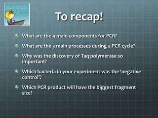 BIOL 2115 - Basic Laboratory Techniques: PCR | PPTX