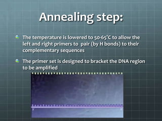 BIOL 2115 - Basic Laboratory Techniques: PCR | PPTX