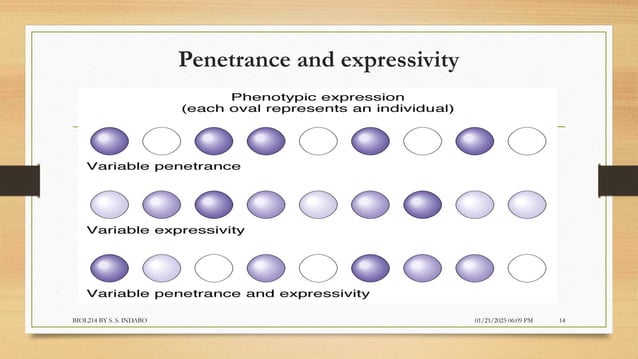 GENE ACTION, MULTIPLE ALLELISM, PENETRANCE, EXPRESSIVITY.pptx