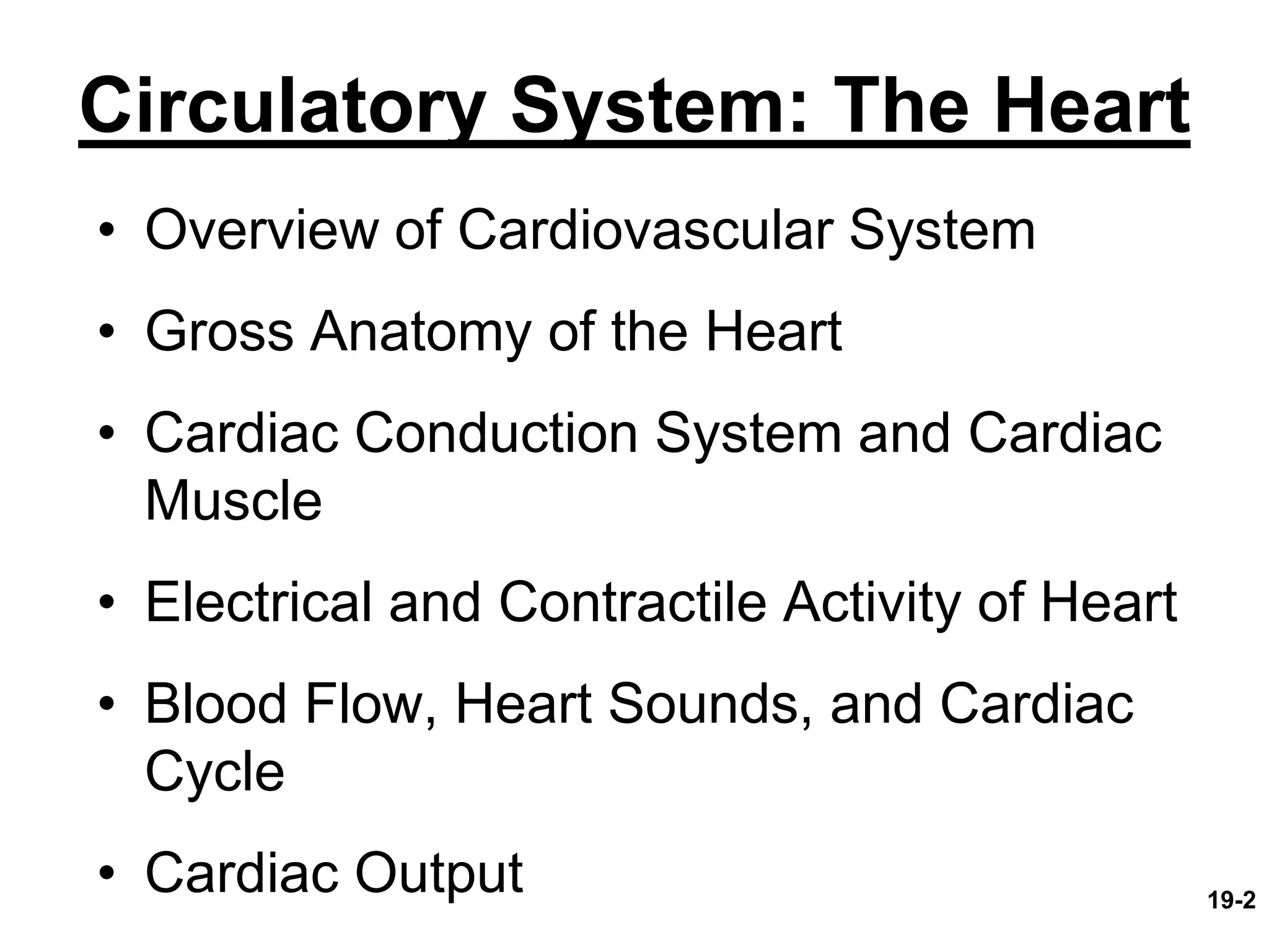 The_Heart_and_Cardiac_Conduction_System_Cardiac_Cycle_2.pdf