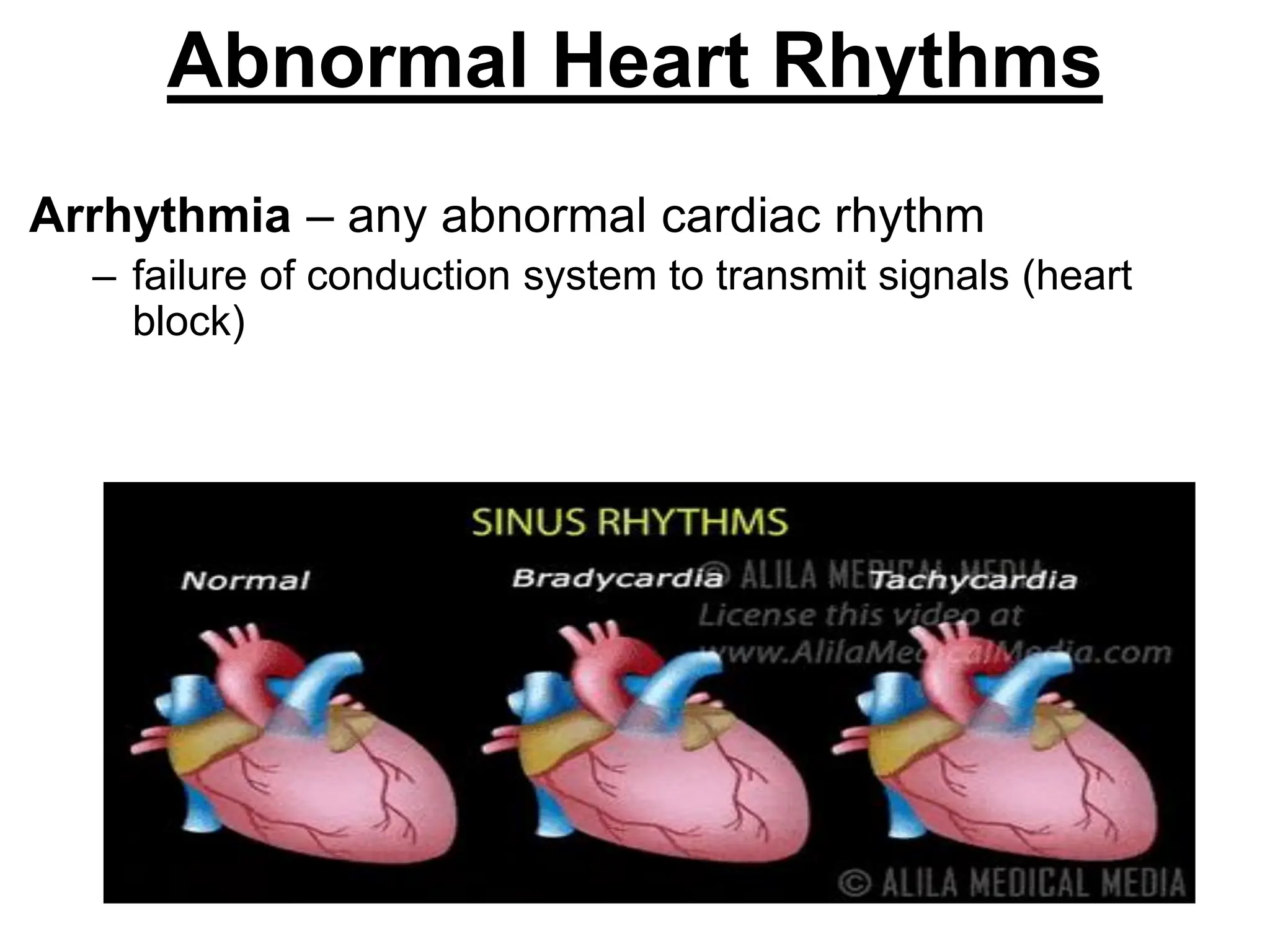 The_Heart_and_Cardiac_Conduction_System_Cardiac_Cycle_2.pdf