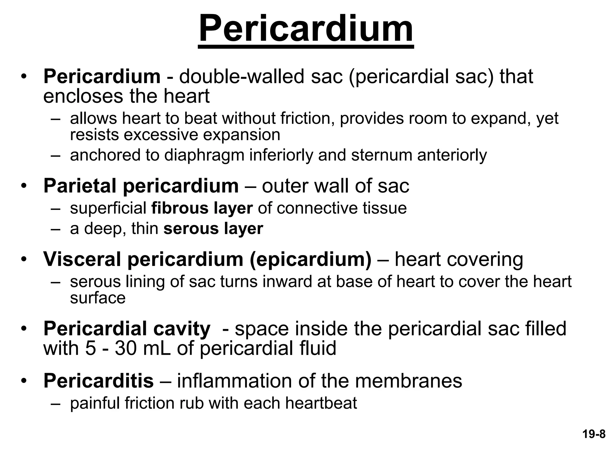 The_Heart_and_Cardiac_Conduction_System_Cardiac_Cycle_2.pdf