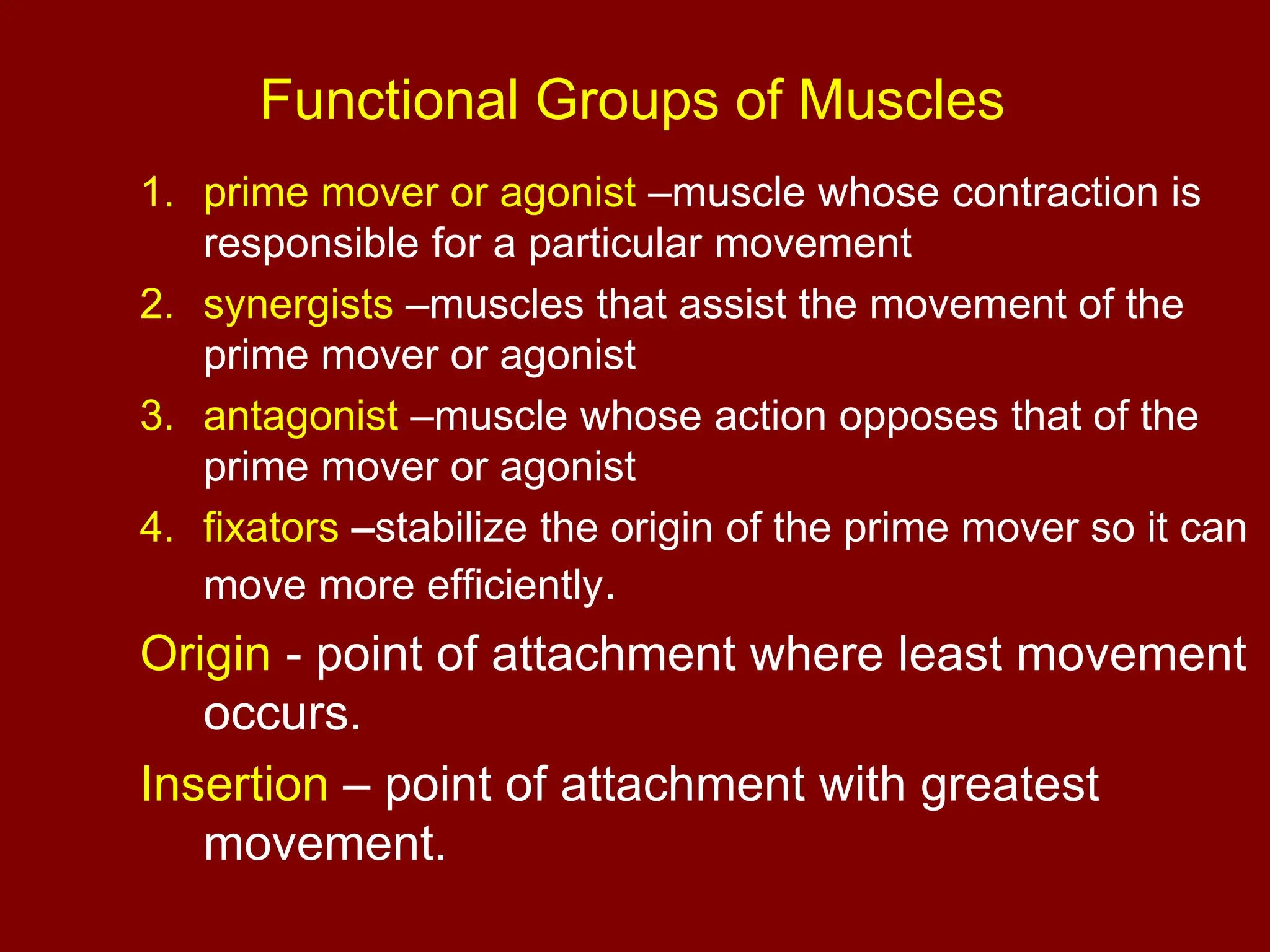 HISTOLOGY CH11 MUSCLE TISSUE | PPT