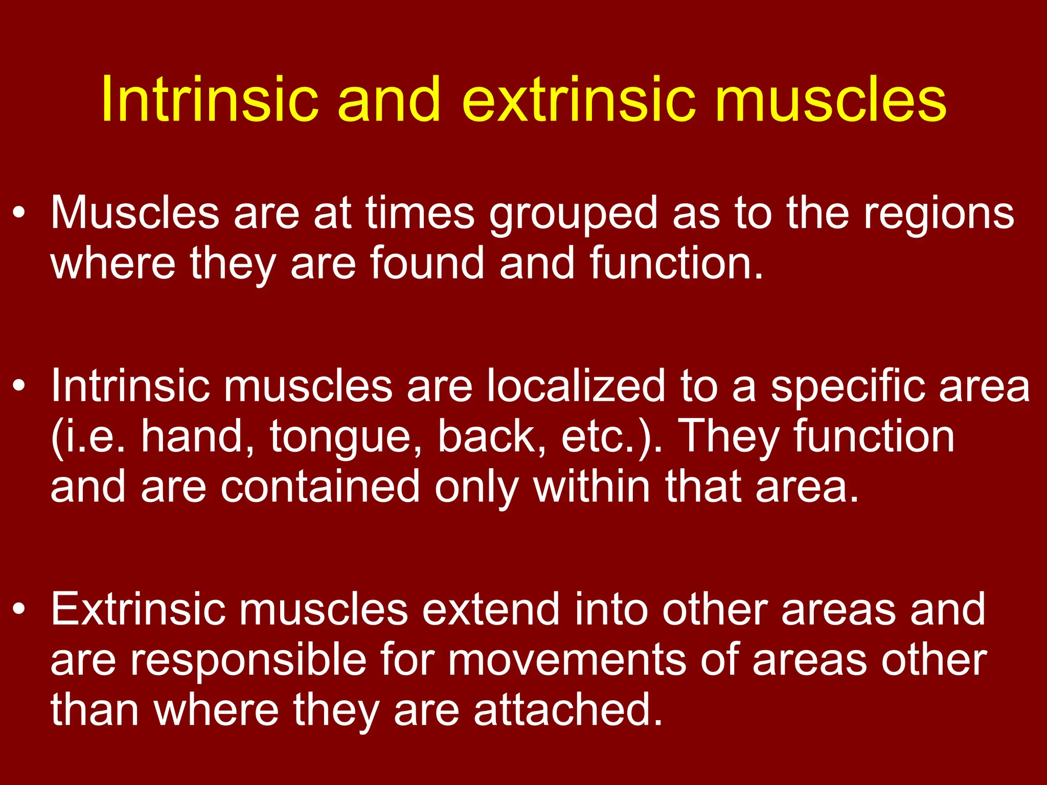 HISTOLOGY CH11 MUSCLE TISSUE | PPT