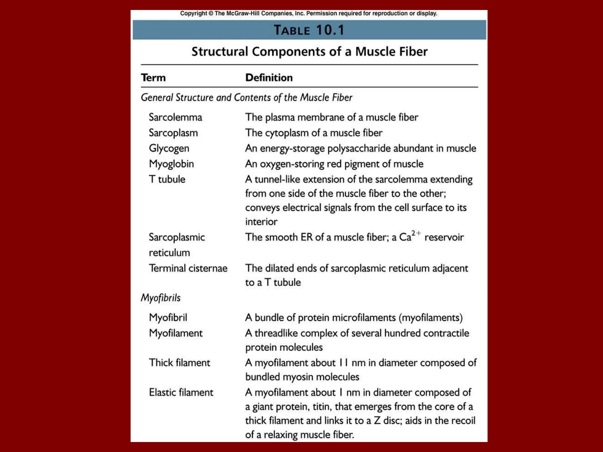HISTOLOGY CH11 MUSCLE TISSUE | PPT